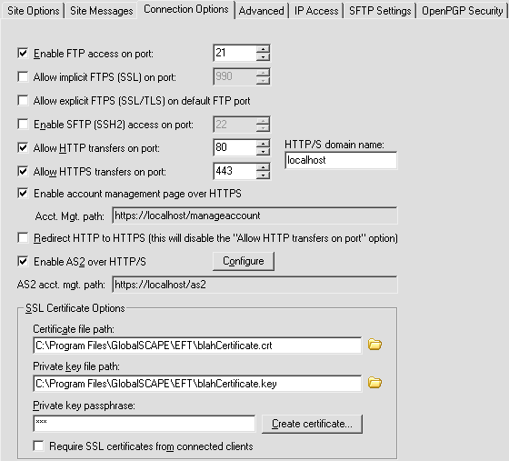 Connection Options Tab